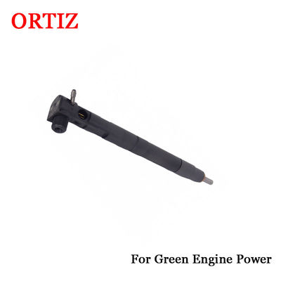 A6510700587 Delphi Common Rail Injector R00002D Delphi Diesel Injector ...